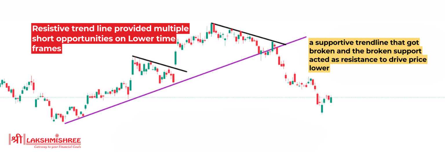 Support and Resistance in Trading: Strategies & Indicators